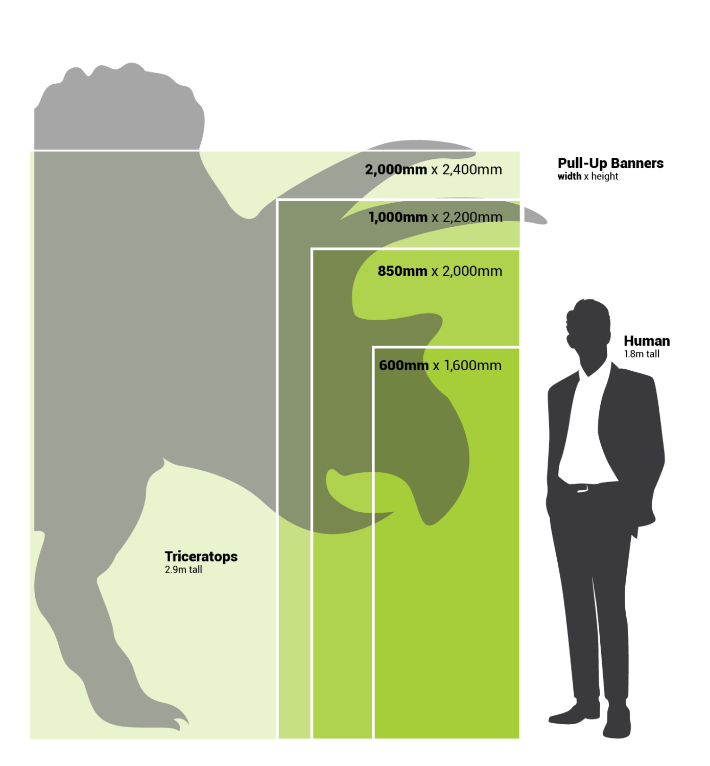 Pull-Up Banners for Portable and Effective Advertising - Signosaur